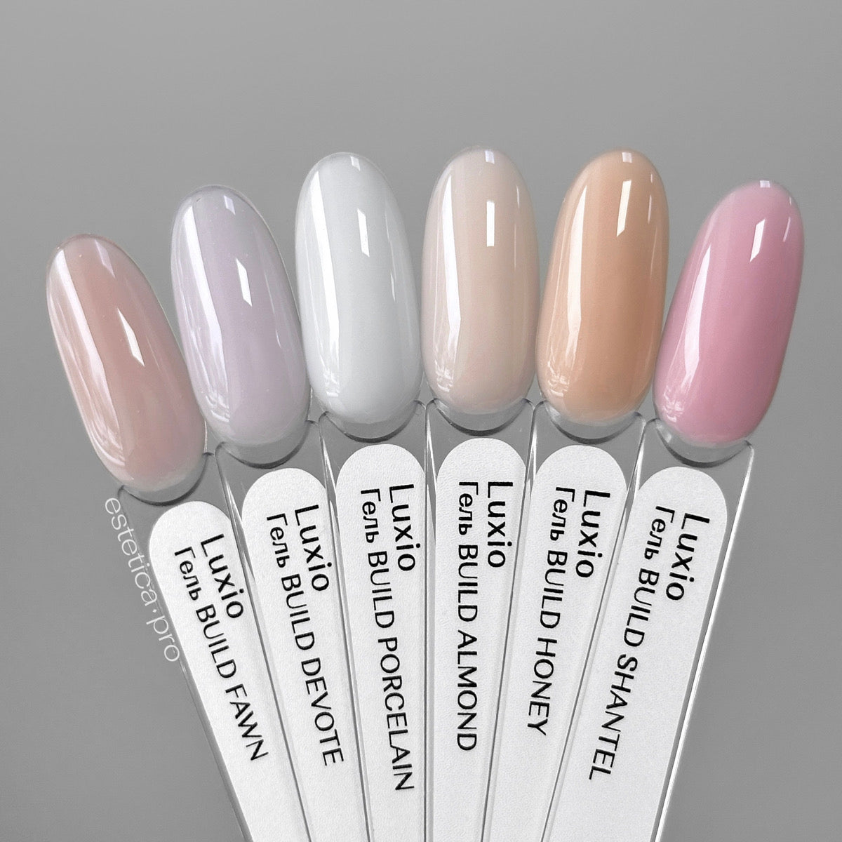 Luxio® Tinted Build Devote – Akzéntz®